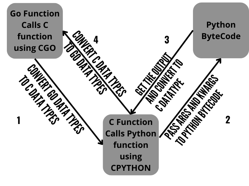 Call Python Function From Go 